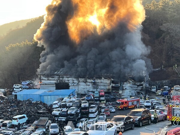 장평동 폐차장 '불'...소방 당국 진화 중